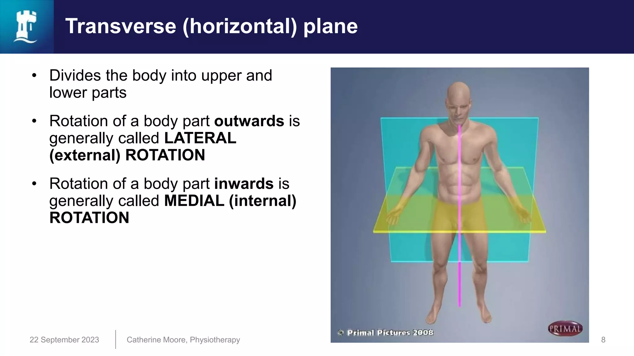 introduction-to-anatomy-powerpoint-presentation.pptx