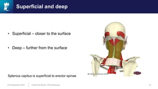 introduction-to-anatomy-powerpoint-presentation.pptx