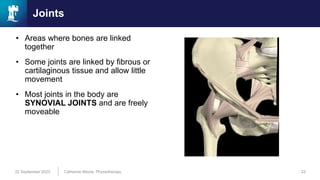 introduction-to-anatomy-powerpoint-presentation.pptx