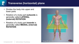 introduction-to-anatomy-powerpoint-presentation.pptx