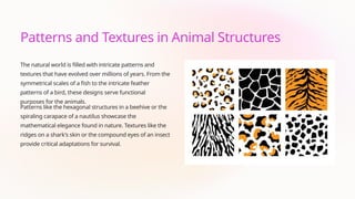 Introduction-to-Animal-Inspired-Designs.pptx