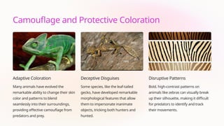 Introduction-to-Animal-Inspired-Designs.pptx