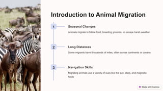 Introduction-to-Animal-Migrdsdfsdfation.pptx
