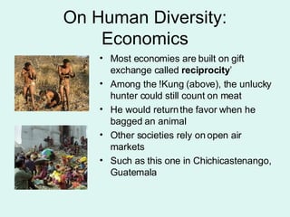 Introduction to Anthropology | PPT