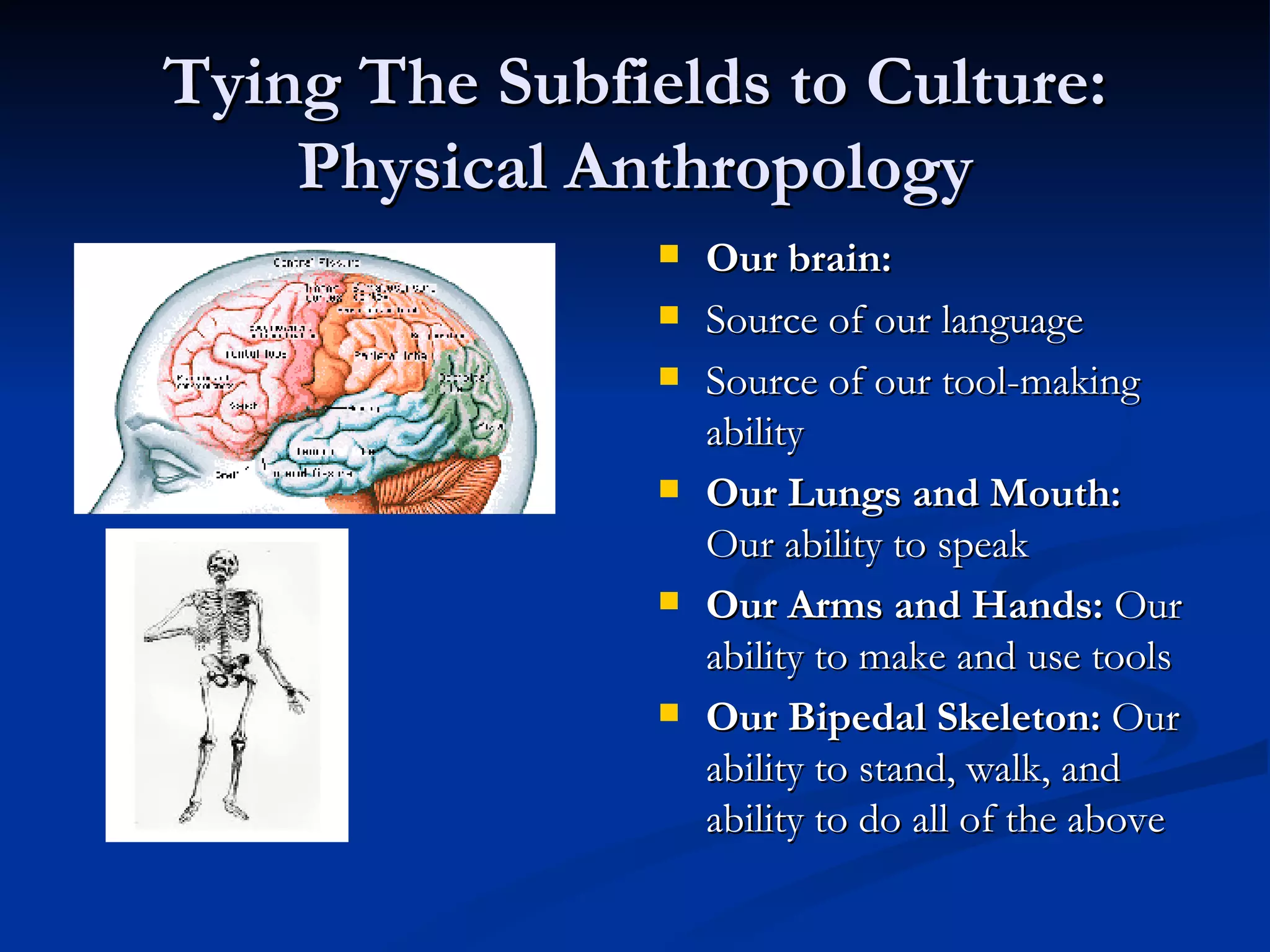Introduction To Anthropology, Online Version | PPT