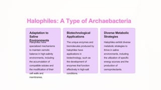 Introduction to Archaebacteria and its structure ppt.pptx