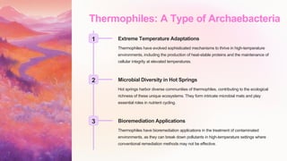 Introduction to Archaebacteria and its structure ppt.pptx