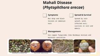 Arecanut-Diseases and their management strategies.pptx
