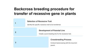 Backcross breeding for transfer of dominant and recessive genes | PPTX
