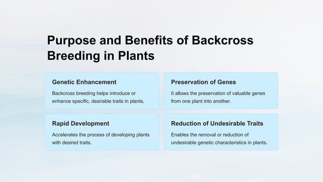 Backcross breeding for transfer of dominant and recessive genes | PPTX ...