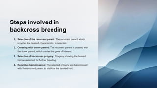 Backcross breeding for transfer of dominant and recessive genes | PPTX