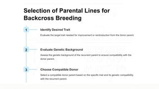 Backcross breeding for transfer of dominant and recessive genes | PPTX