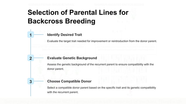 Backcross breeding for transfer of dominant and recessive genes | PPTX ...