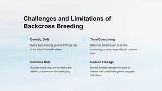 Backcross breeding for transfer of dominant and recessive genes | PPTX