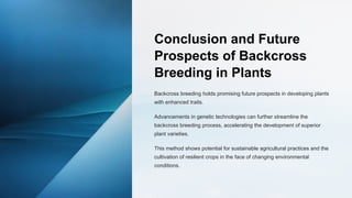 Backcross breeding for transfer of dominant and recessive genes | PPTX