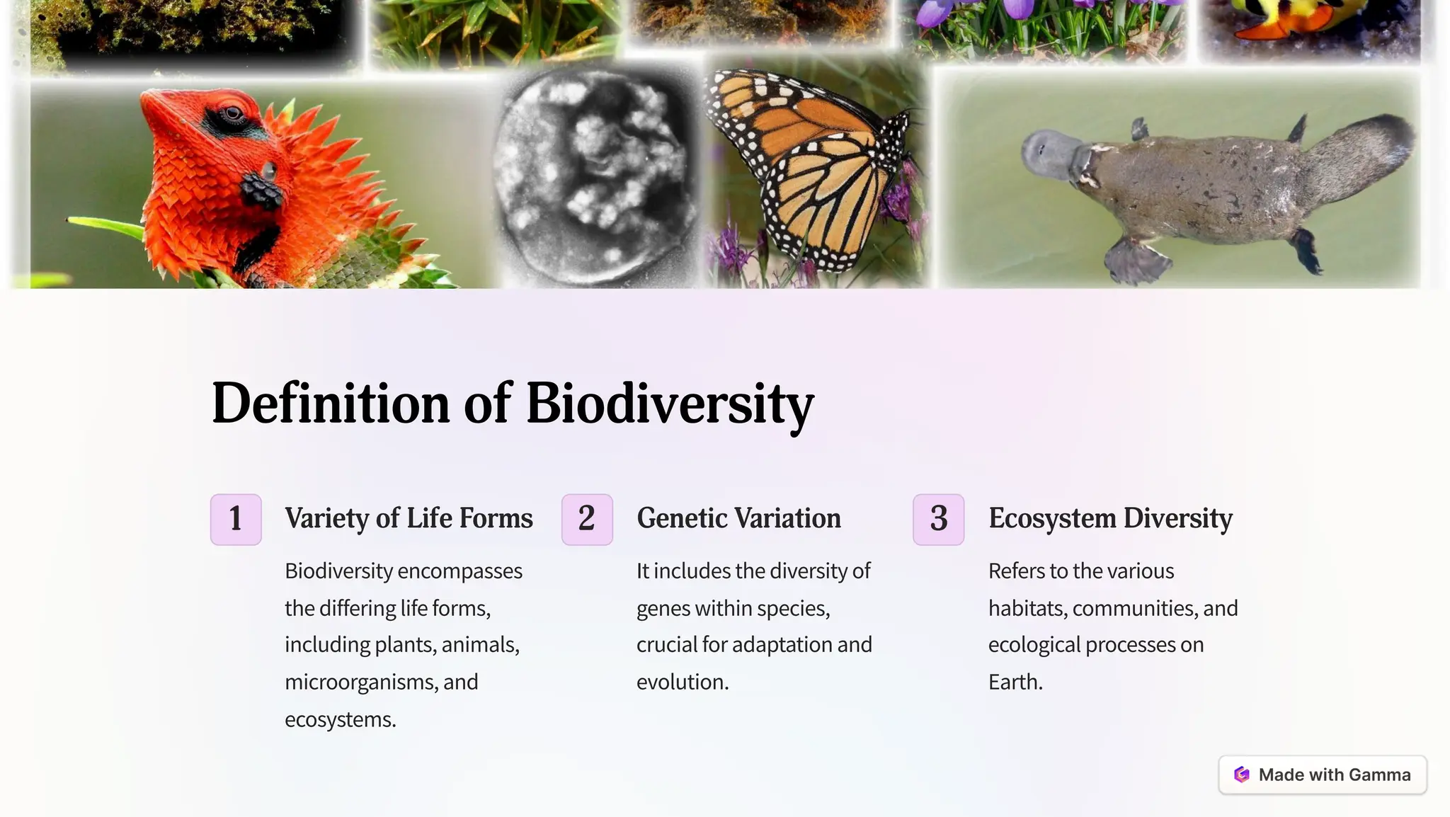 Introduction-to-Biodiversity EVSBCOM.pdf
