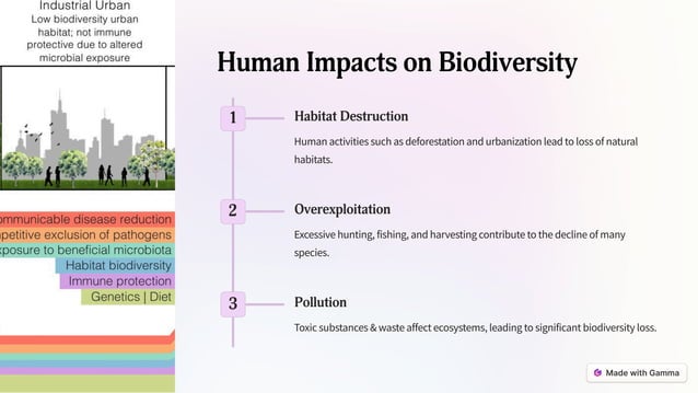 Introduction-to-Biodiversity EVSBCOM.pdf