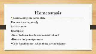 Introduction-to-Biology.pptx