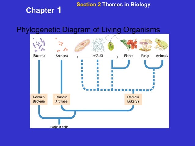 Introduction To Biology Notes