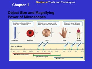 Introduction To Biology Notes | PPT