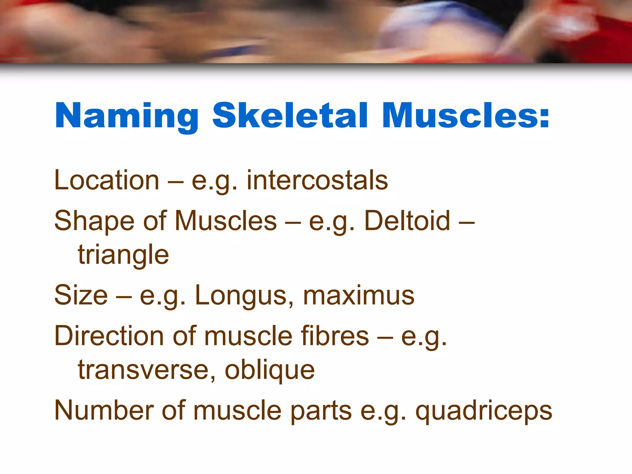 Introduction to Biomechanics | PPT