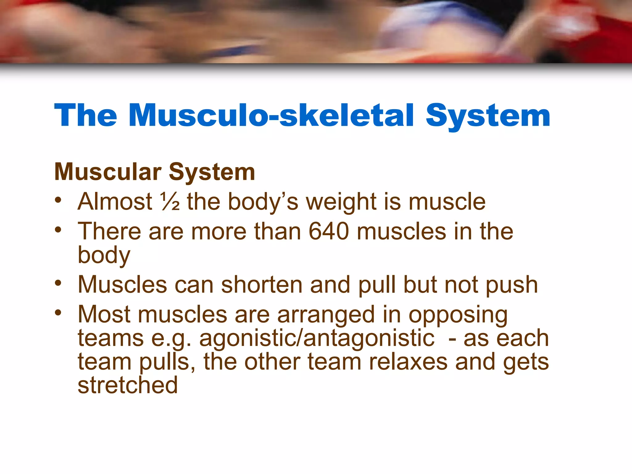 Introduction to Biomechanics | PPT