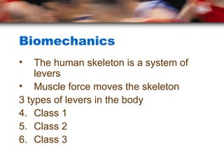 Introduction to Biomechanics | PPT