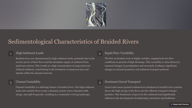 Introduction-to-Braided-River-Systems.pptx