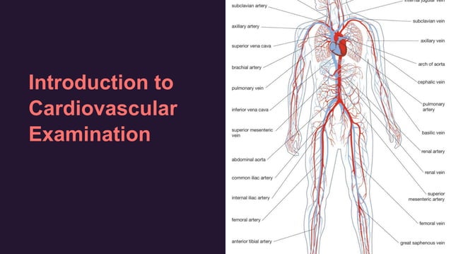 Introduction-to-Cardiovascular-Examination.pptx