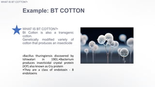 Introduction-to-Cell-Culture-in-Cotton-Plants.pptx