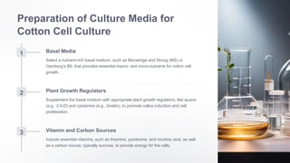 Introduction-to-Cell-Culture-in-Cotton-Plants.pptx