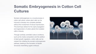 Introduction-to-Cell-Culture-in-Cotton-Plants.pptx