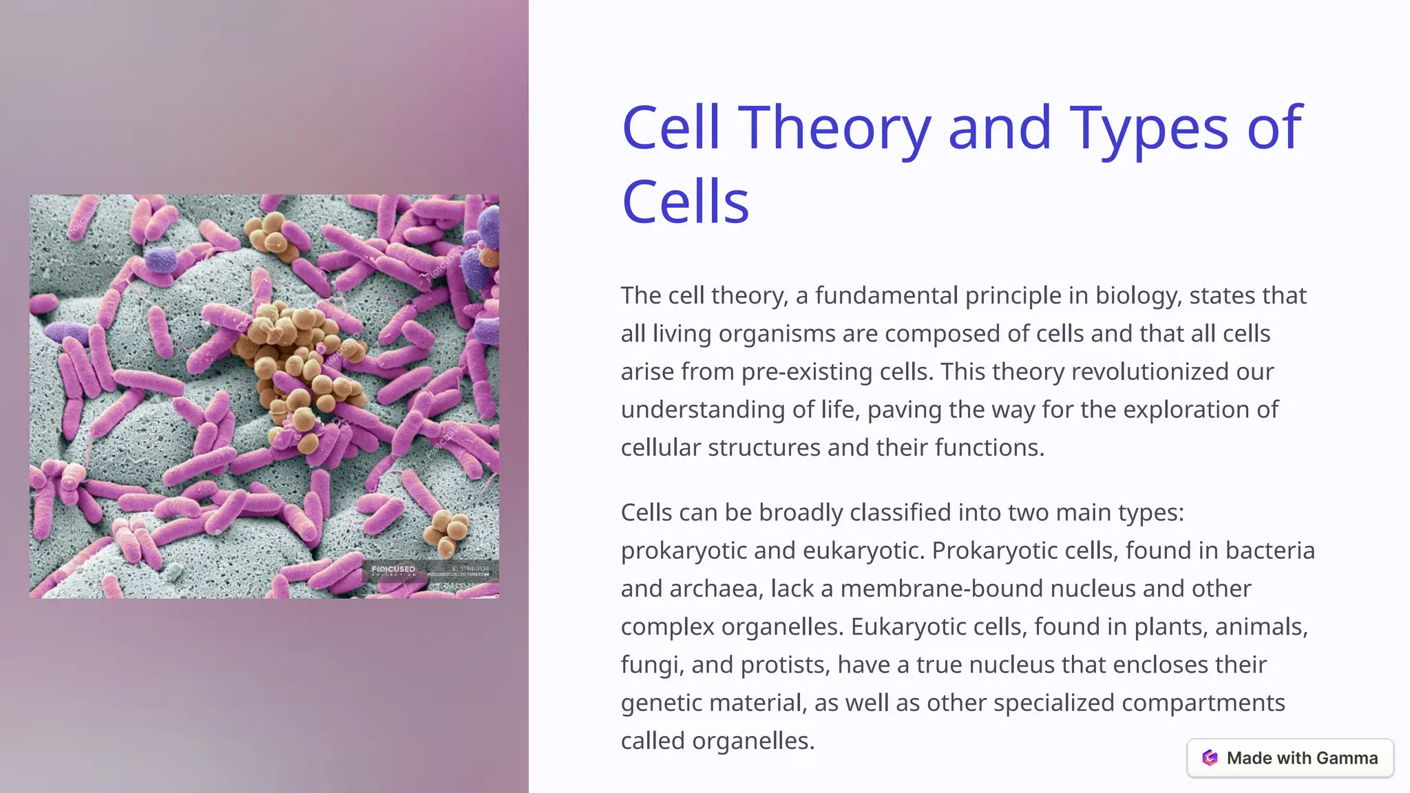 Introduction-to-Cells-The-Fundamental-Units-of-Life.pptx