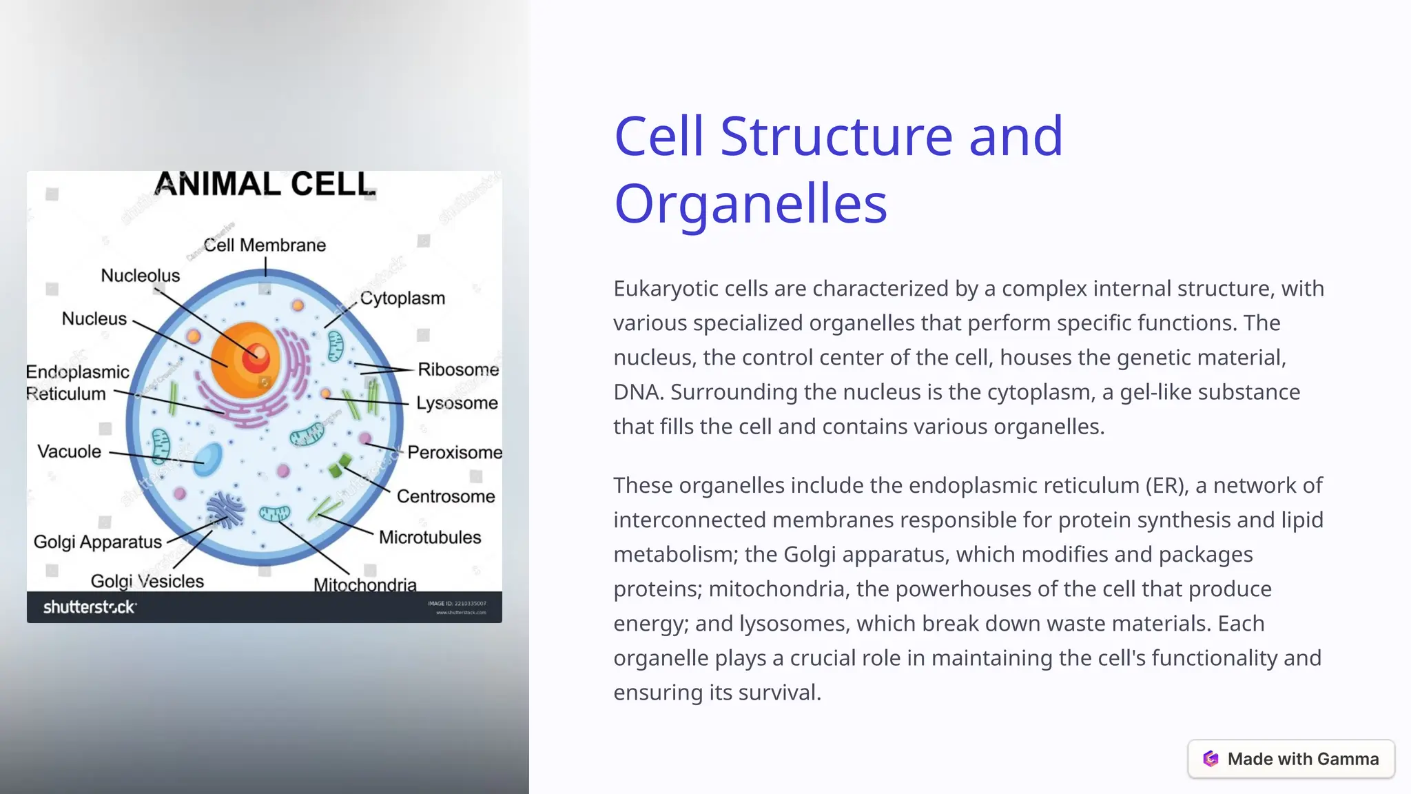 Introduction-to-Cells-The-Fundamental-Units-of-Life.pptx