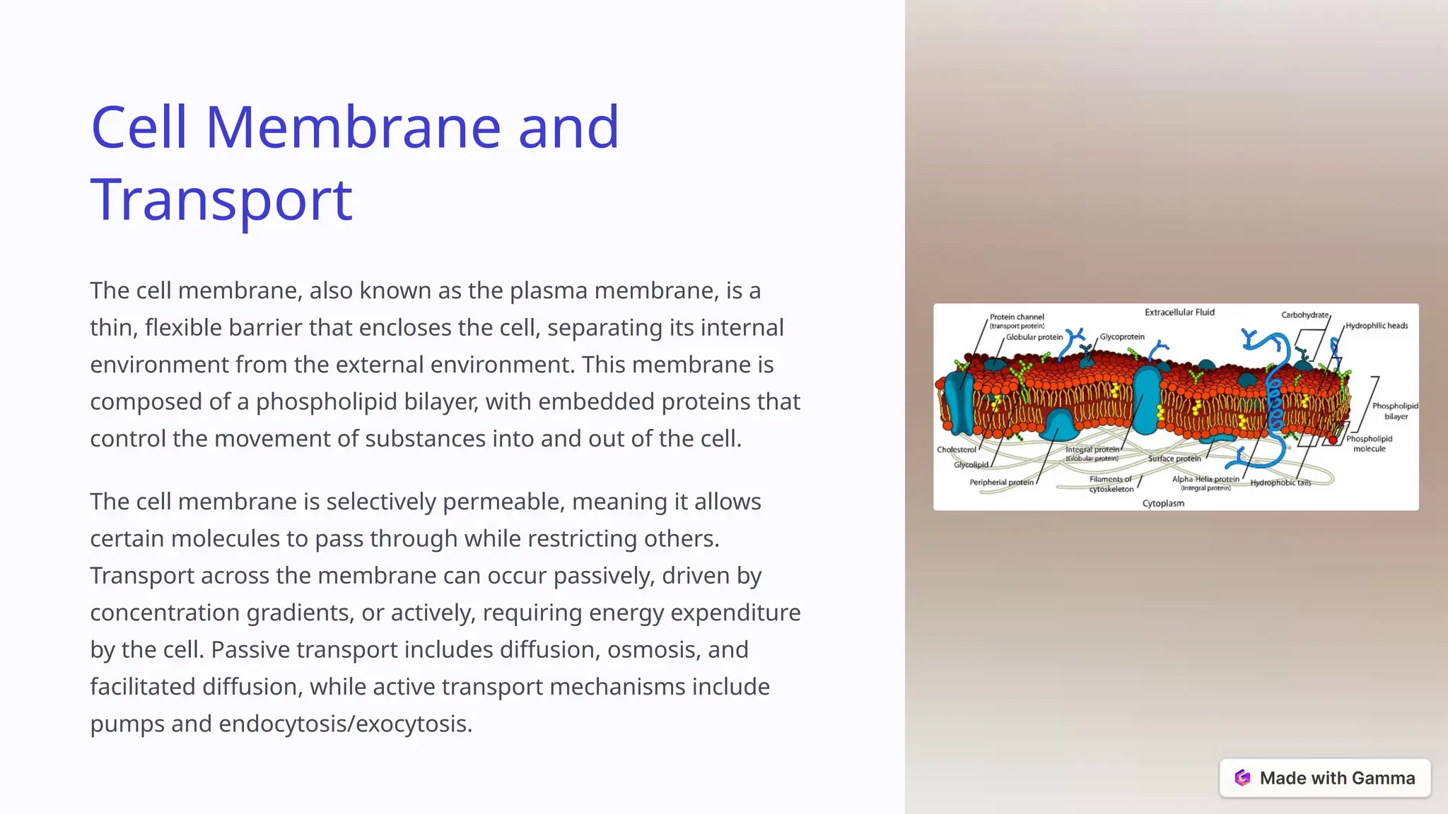 Introduction-to-Cells-The-Fundamental-Units-of-Life.pptx