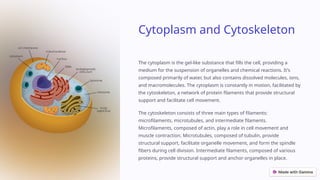 Introduction-to-Cells-The-Fundamental-Units-of-Life.pptx
