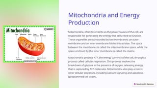 Introduction-to-Cells-The-Fundamental-Units-of-Life.pptx