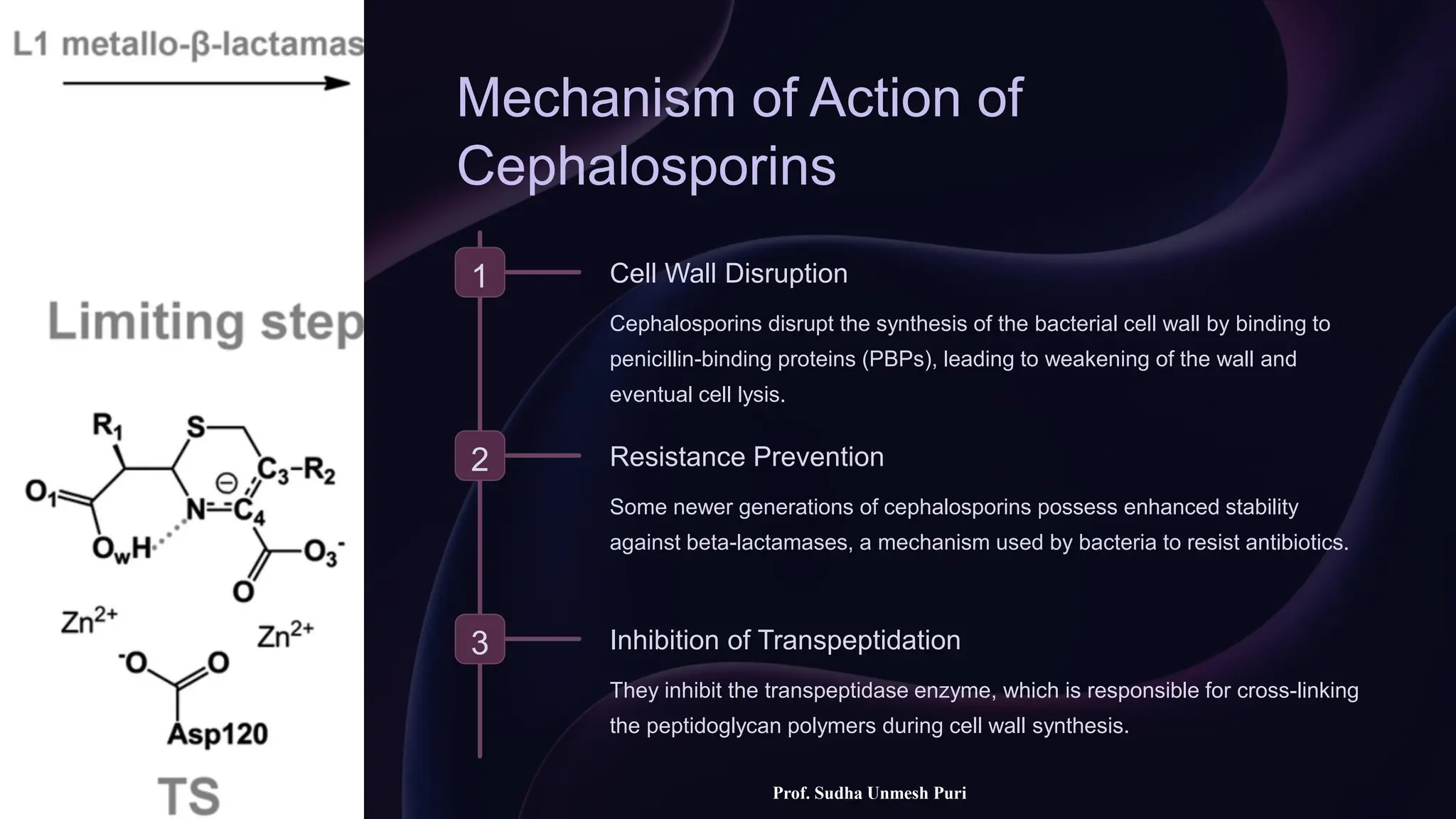 Introduction-to-Cephalosporins-Chemotherapy in short..pptx