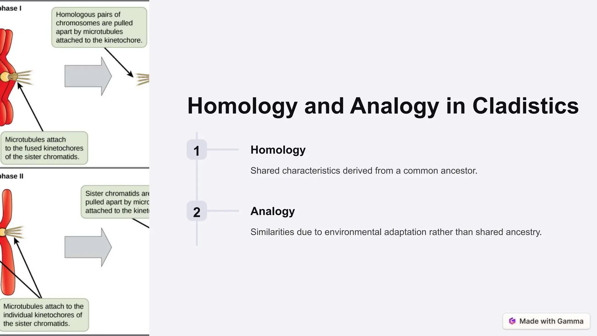 Introduction-to-Cladistics-systems-evolution | PPTX