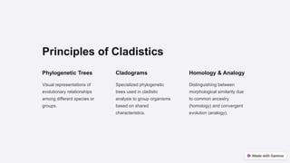 Introduction-to-Cladistics-systems-evolution | PPTX | Biological Sciences | Science