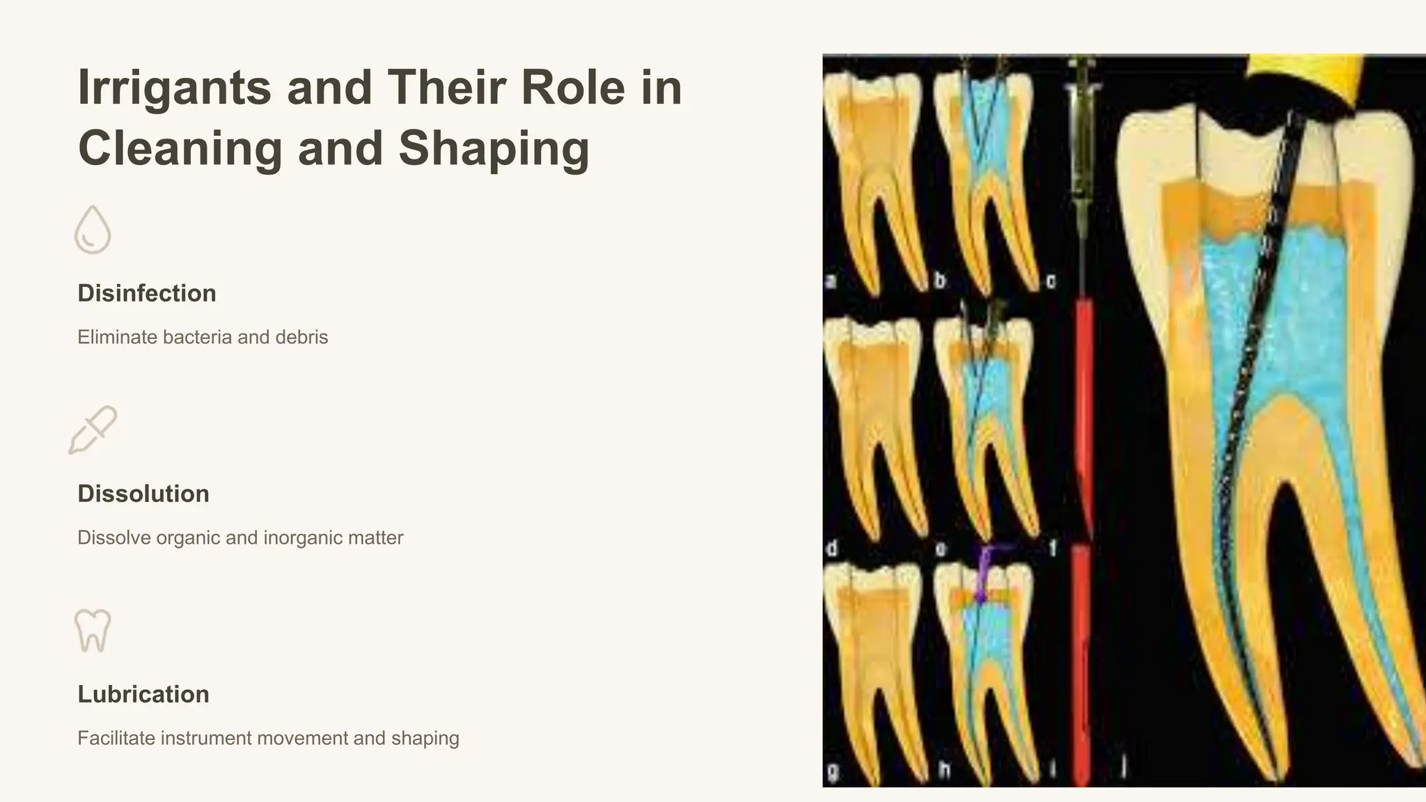 Introduction-to-Cleaning-and-Shaping-in-Endodontics.pptx