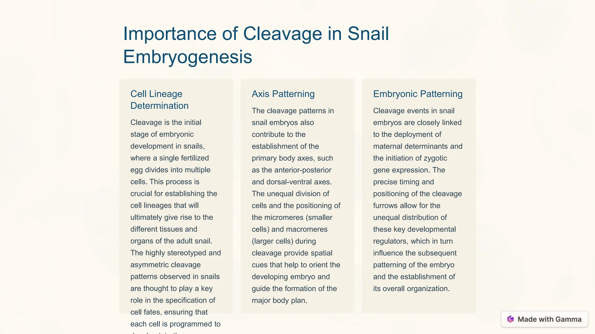 Introduction-to-Cleavage-in-Snail-Development (2).pptx