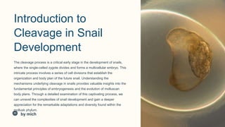 Introduction-to-Cleavage-in-Snail-Development (2).pptx