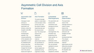 Introduction-to-Cleavage-in-Snail-Development (2).pptx