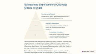 Introduction-to-Cleavage-in-Snail-Development (2).pptx