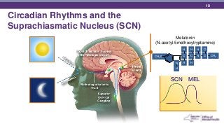 Introduction to Cognitive Behavioral Therapy for Insomnia | PPT