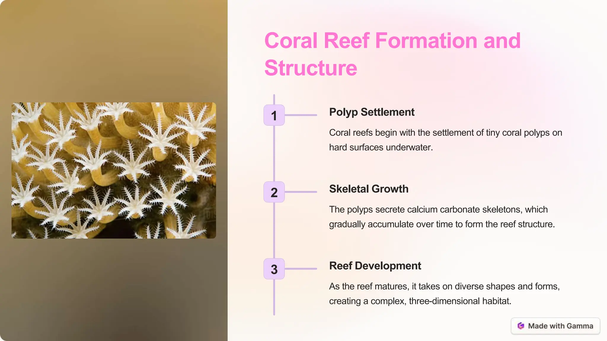 Introduction-to-Coral-Reefs and its importance.pptx