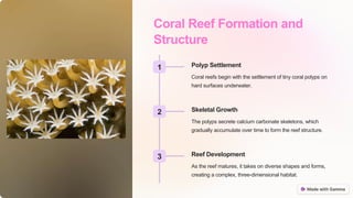 Introduction-to-Coral-Reefs and its importance.pptx