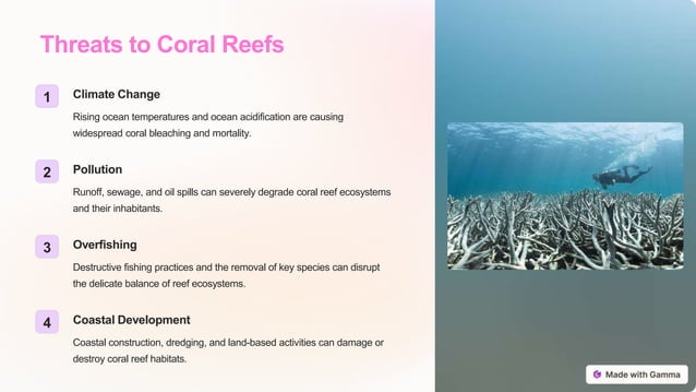 Introduction-to-Coral-Reefs and its importance.pptx