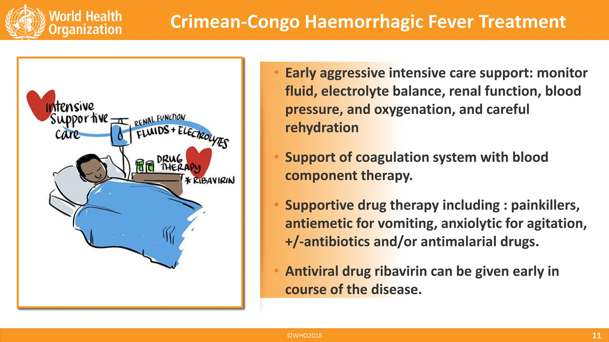 introduction-to-crimean-congo-haemorrhagic-fever.pdf